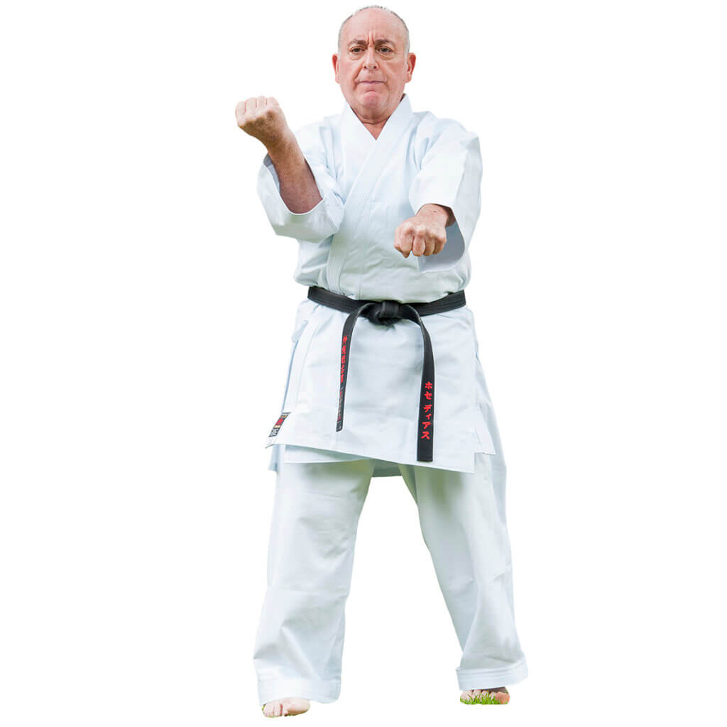 Karategi Shureido New Wave 3 - Official Shureido Distributor